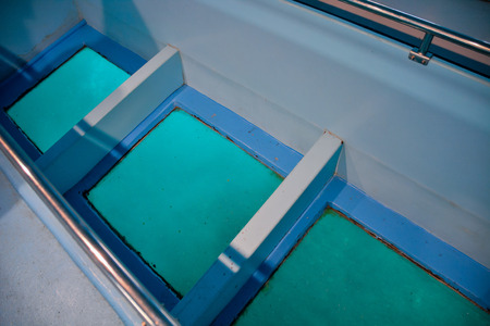 Do You Know the History of Glass Bottom Boats?